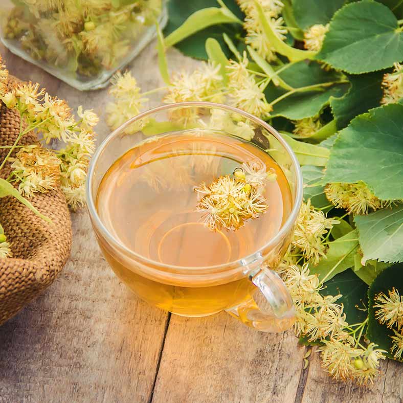 Linden Flower Tea – Rayhana Organics